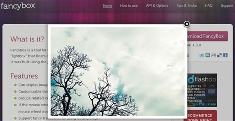 jquery là gì những điều cần biết về thư viện javascript hàng đầu