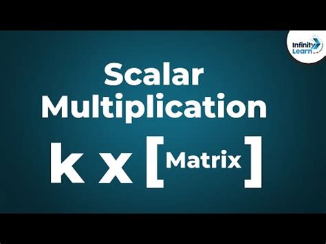 Multiply A Matrix By A Scalar Expii