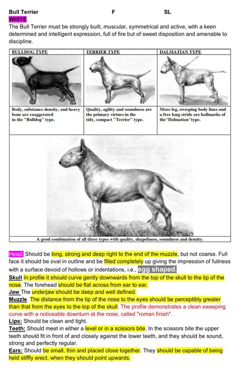 Bull Terrier Akc Breed Standard Breed Standard Library