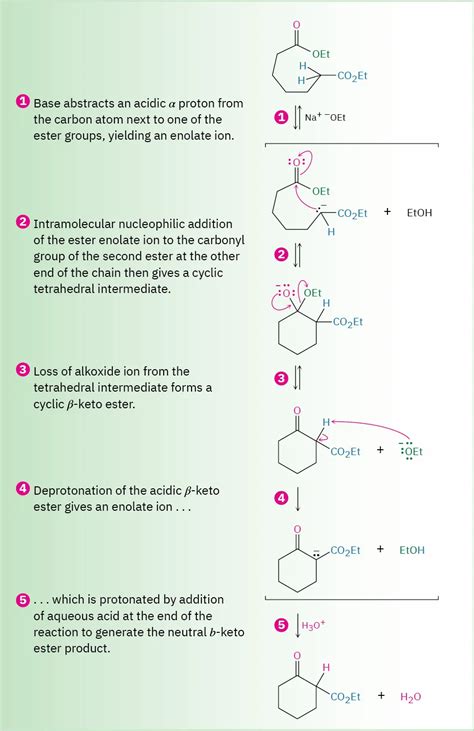 239 Intramolecular Claisen Condensations The Dieckmann Cyclization