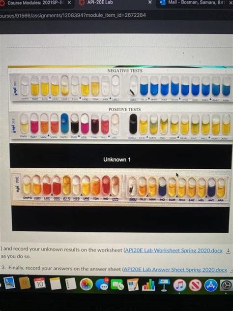 Name API E Lab Answer Sheet What Was Your API Chegg Com