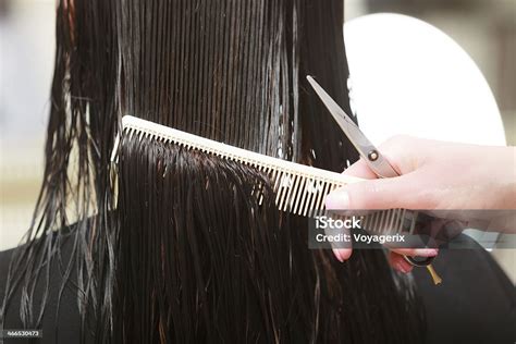 미용 잘라냄 머리 여자의 클라이언트를 헤어드레싱 미용실 갈색 머리에 대한 스톡 사진 및 기타 이미지 갈색 머리 등 머리 모양 Istock
