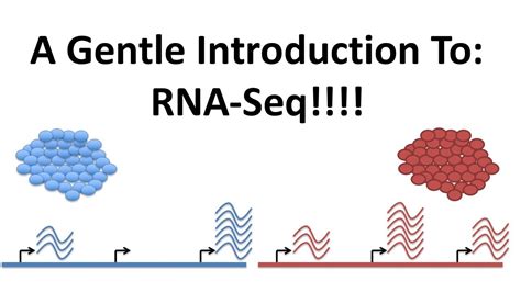 A Gentle Introduction To RNA Seq