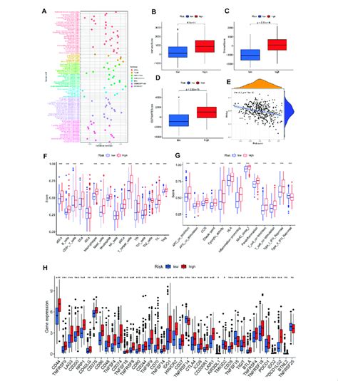 Immunocorrelated Analysis Between High And Low Risk Groups A Immune Download Scientific