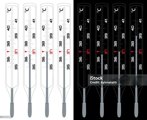 Termometer Hitam Dan Putih Untuk Mengukur Suhu Tubuh Skala Pengukuran