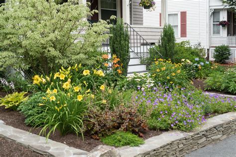 No Mow Front Yard Traditional Garden Boston By Terrascapes Landscape Design Houzz Ie