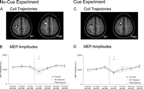 Mep Amplitudes A C Superimposed On Magnetic Resonance Images Are Download Scientific Diagram