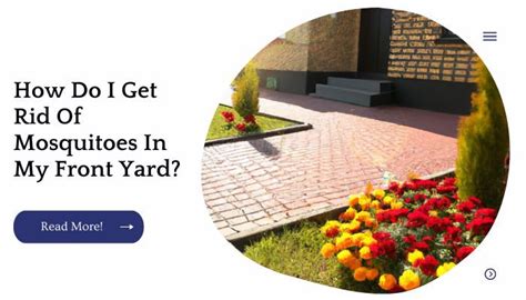 How Do I Get Rid Of Mosquitoes In My Front Yard Unified Yard