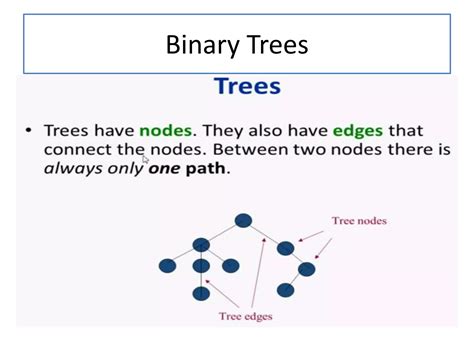 Introduction To Data Structure And Algorithms Sathyabama University Chennai Ppt