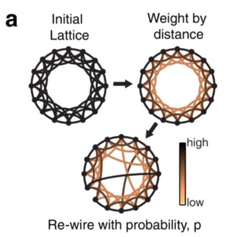 Graph Theory What Does The Lattice Actually Means In The Small World