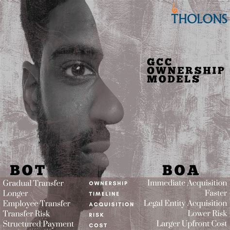 Bot Vs Boa The Best Model For Your Captive Global Capability Center Gcc Setting Up A Gcc