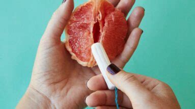 What Are The 5 Phases Of The Project Life Cycle Essay Project Management Path