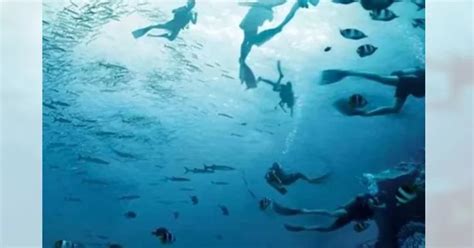 ៥ វិនាទី ដំបូង ឃើញ អ្វីក្នុងរូបនេះ បង្ហាញថាអ្នក ចេះយល់ចិត្តអ្នកដទៃប៉ុណ្ណា Khmerload