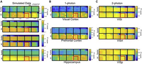 Tracking Longitudinal Population Dynamics Of Single Neuronal Calcium