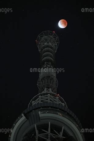 皆既月食と東京スカイツリーの写真素材 FYI01672514 ストックフォトの Qlean Marketキュリンマーケット