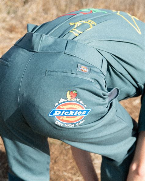 Dickies Sky High Farm Universe