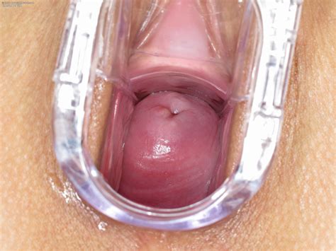 What Does Sex Look Like From The Inside Photos Porn