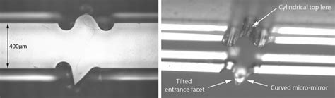Pictures Of The Fabricated Enhanced Out Of Plane Coupler Using Deep Download Scientific Diagram