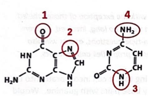 Problem Solving Flashcards Quizlet Problem Solving Flashcards Quizlet
