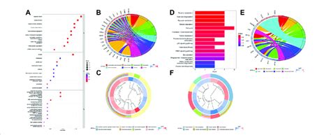Function Analysis Based On The Degs A Heatmap Of Go Analysis B Download Scientific Diagram