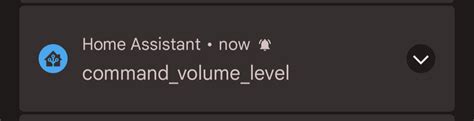 Volume Command Not Working Since Last App Upgrade After Updating To