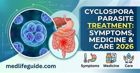 Cyclospora Parasite Treatment Symptoms Medicine And Care 2026