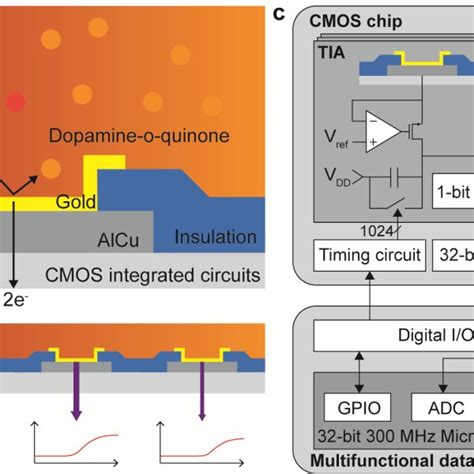 Monolithic Cmos Electrochemical Imaging Sensor A Monolithic