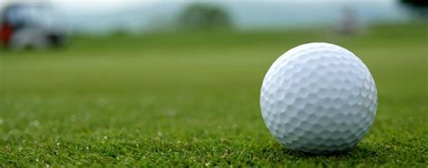 골프클럽 종류와 역할 완벽 정리 드라이버 우드 아이언 웨지 퍼터까지 네이버 블로그