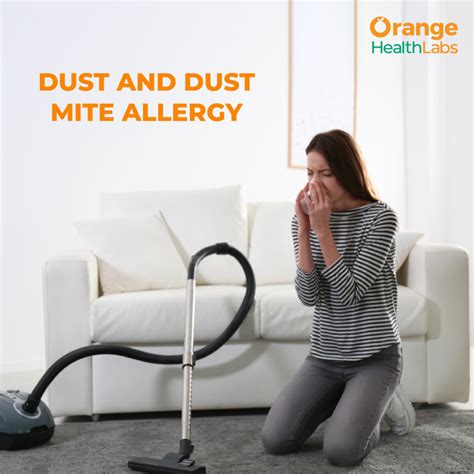 Which Tests Are Done For Typhoid A Complete Guide To Diagnosis And