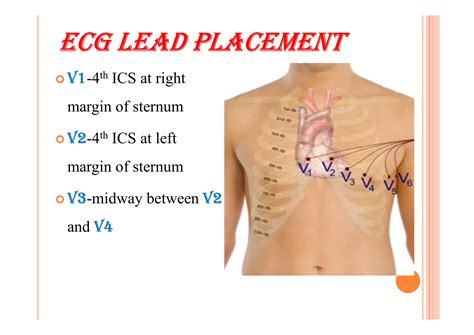 Assessment Of Cardiovascular System Pdf