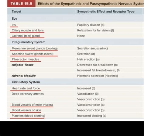 Chapter 15 And 16 Flashcards Quizlet Chapter 15 And 16 Flashcards Quizlet