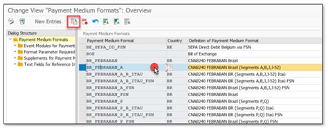 Create Copy And Delete Payment Medium Formats On Sa Sap Community