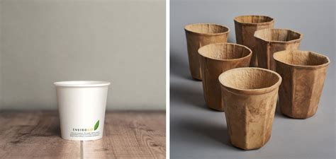 Best Compostable Cups Top 9 Useful Compostable Cups 2025