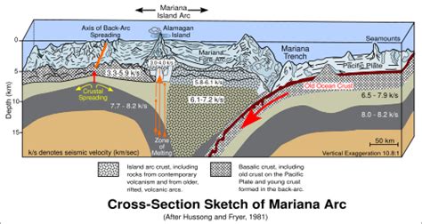 Oceanic Trench Wikipedia