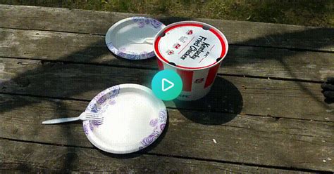 I Think Kfc Undercooked The Chicken Slightly  On Imgur