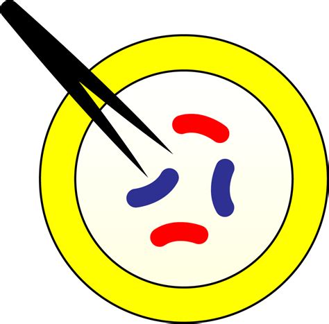 Eucast Школа клінічного мікробіолога