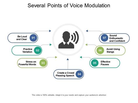 Several Points Of Voice Modulation Powerpoint Presentation Sample