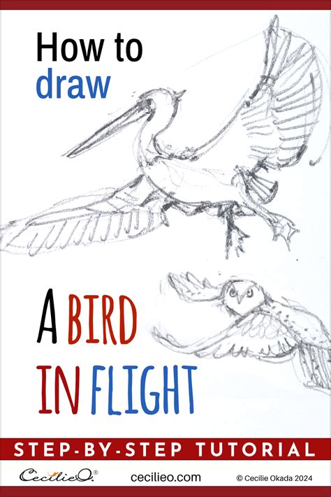 How To Draw A Bird In Flight