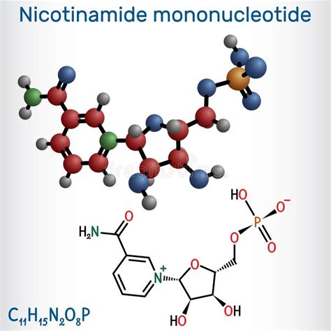 Nicotinamide Mononucleotide Nmn Molecule It Is Naturally Anti Aging
