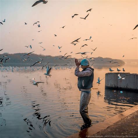 Unesco 🏛️ Education Sciences Culture 🇺🇳 On Twitter Are You A Young