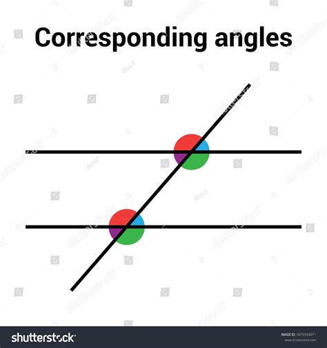 Corresponding Angles Formed By Parallel Lines Stock Vector Royalty Free 1879934071 Shutterstock