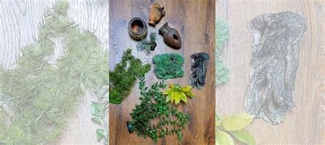 Аквариумные растения купить в Новосибирске | Животные и зоотовары | Авито