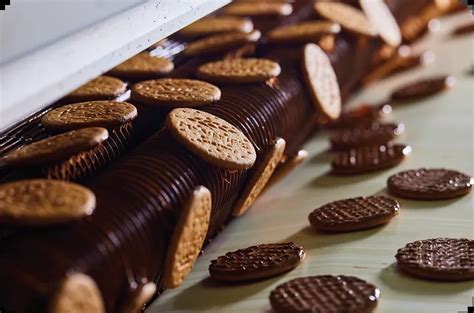 Mini Chocolate Digestives Mcvities