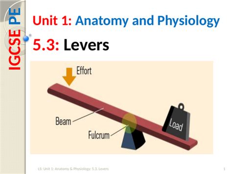 Igcse Pe Spec 2018 5 3 Levers Teaching Resources