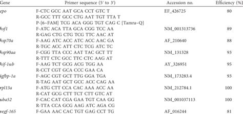 Pairs Of Primer Sequences For Real Time Quantitative Download Scientific Diagram