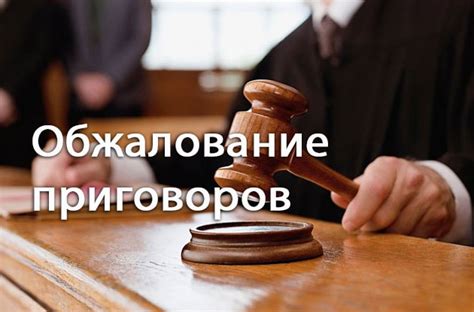 Как подать апелляцию на решение суда образец жалобы срок обращения порядок рассмотрения