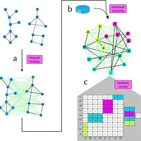 The Framework Of Network Fingerprint Extraction Algorithm A Network