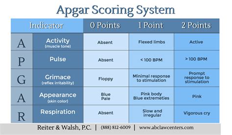 Apgar Score For Newborn Health Assessment Newborn Health Medical