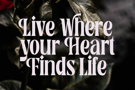 Reshika Font On Yellow Images Creative Store 149567