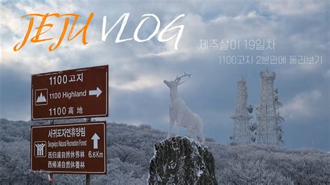 제주 한라산 1100고지 영상 2분만에 둘러보고 오는 Vlog Youtube